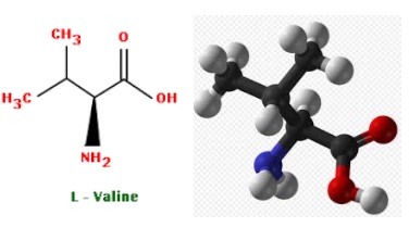 Валин-L, 98,5 - 101,0%, pure Ph. Eur, USP, L-Valine (Ph. Eur., USP) pure, pharma grade ...